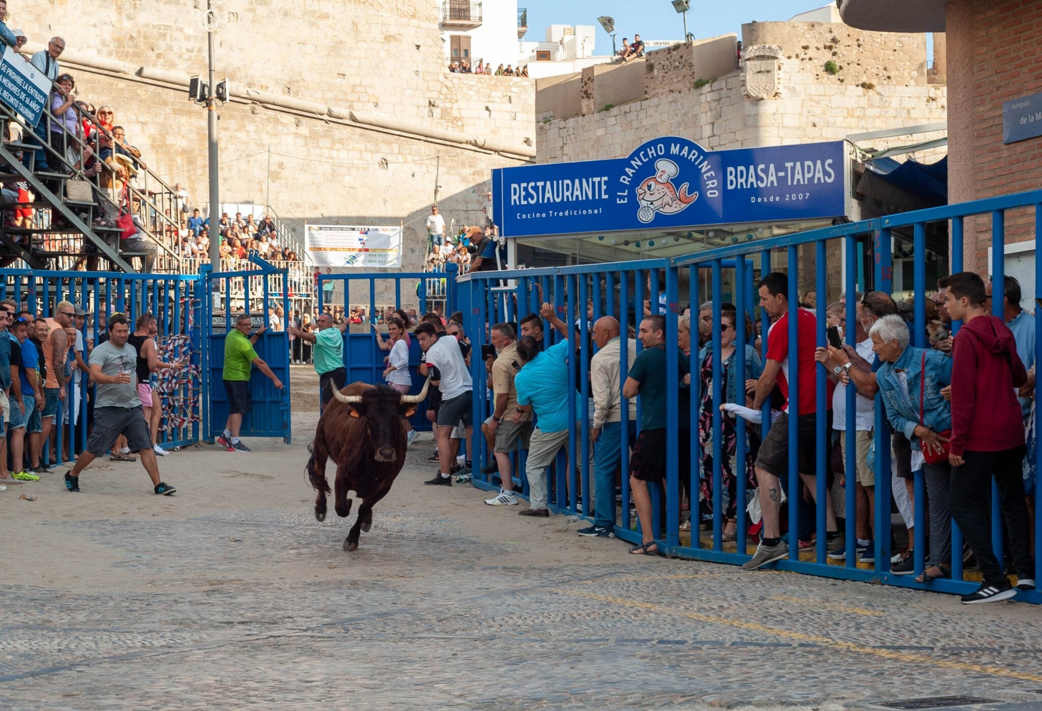 What Are the Best Summer National Celebrations