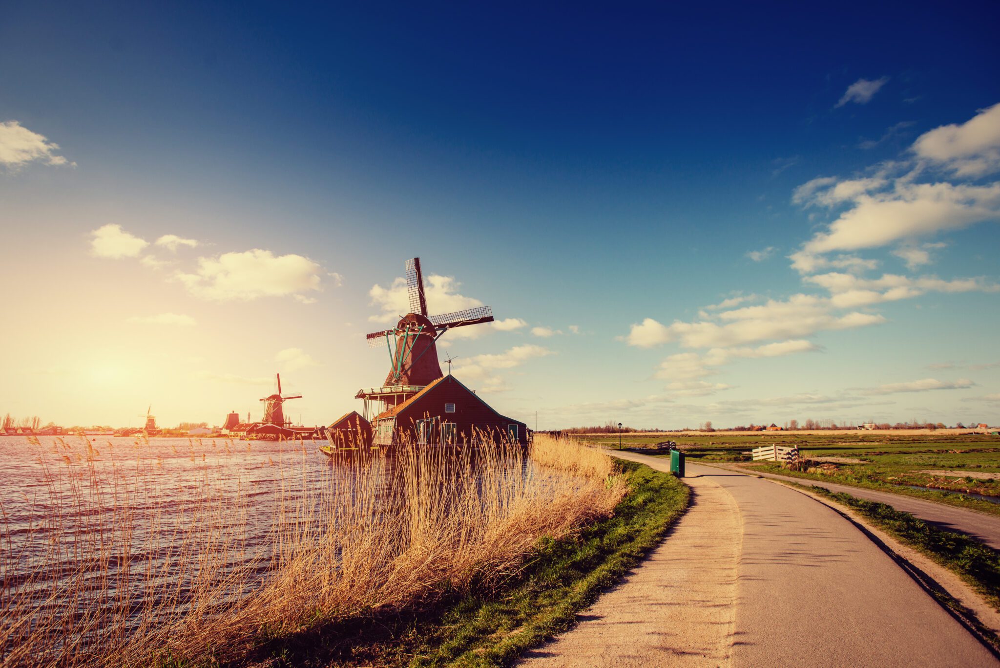 Moving to the Netherlands | International Citizens Group